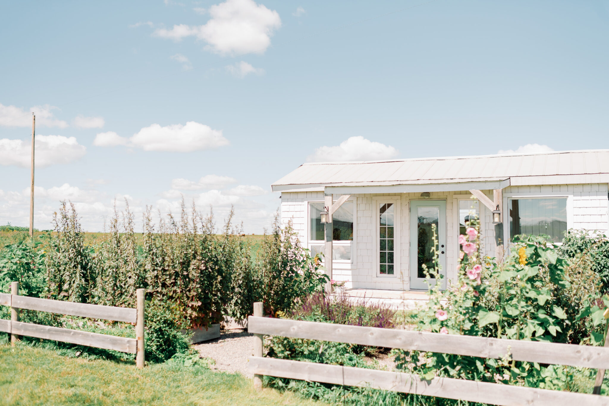 Victoria & Cam - A Wedding to Behold - thegathered.ca